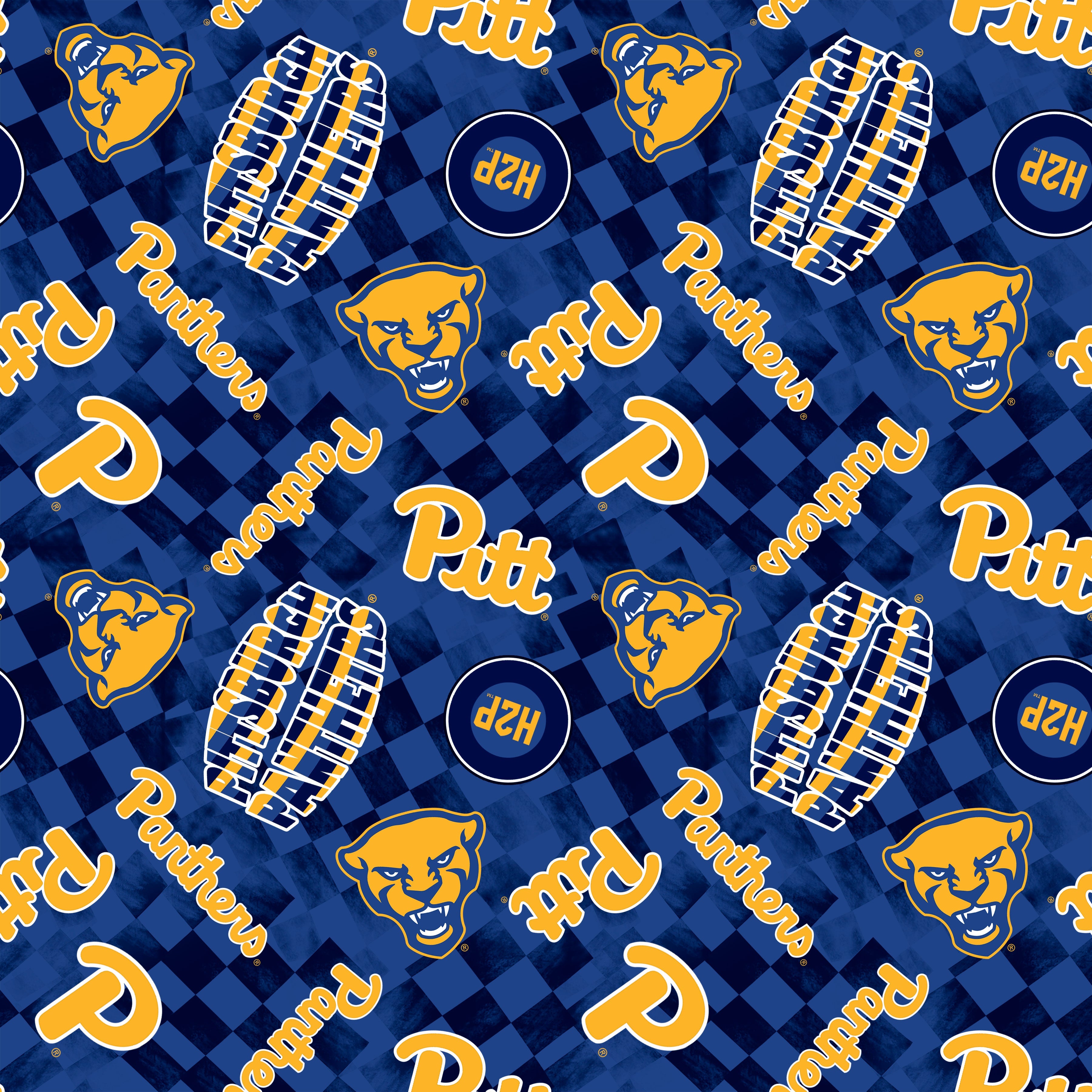 Pittsburgh Panthers NCAA College Checks Blue Sykel Enterprises Canvas ...